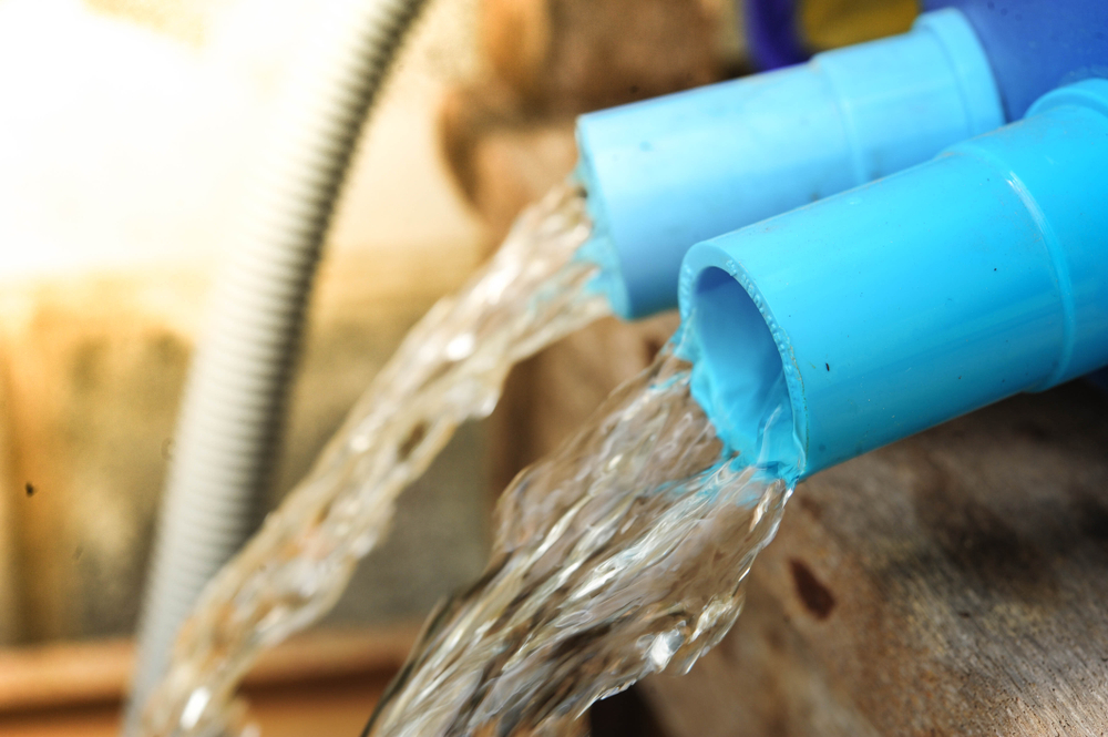 Installer une mini station d'épuration dans son jardin | NAODT